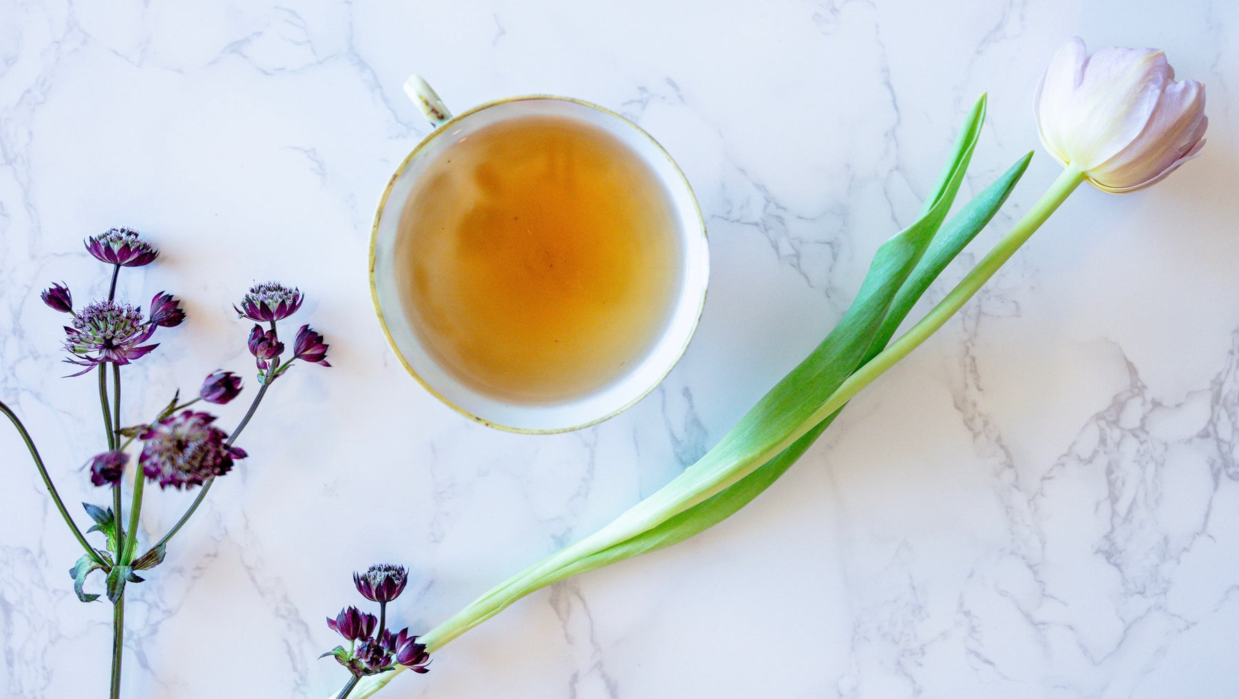 tea.o.graphy, handcrafted loose leaf tea